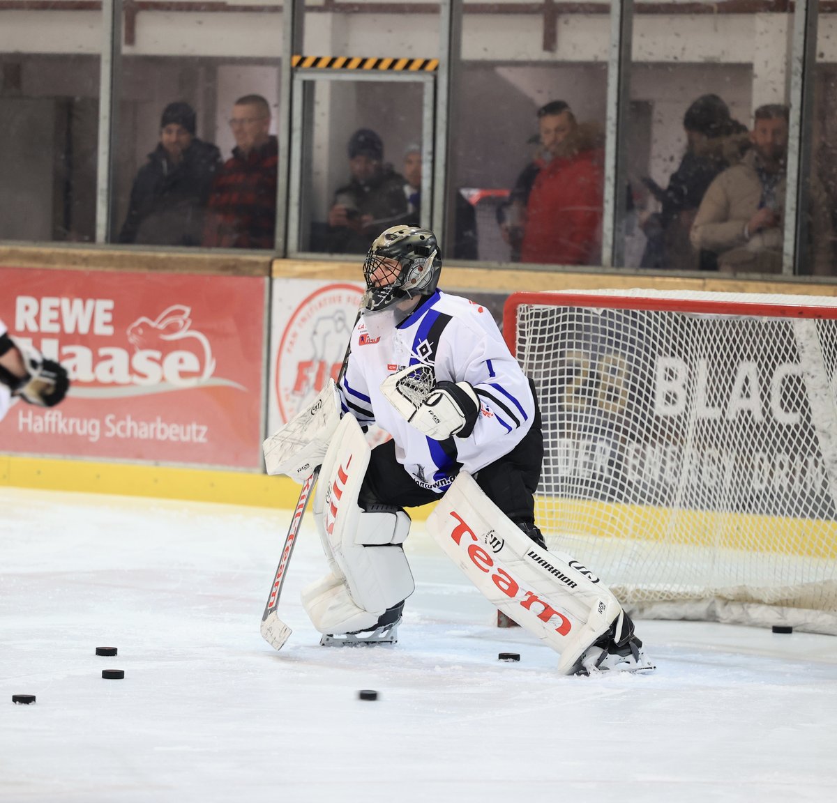 Torhüter-Trio komplett: Max Wulf verlängert – Rico Bolduan kehrt zurück zum HSV Eishockey - HSV ...